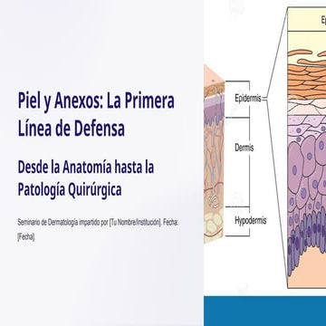 Piel-y-Anexos-La-Primera-Linea-de-Defensa.pptx