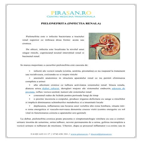 Pielonefrita | PDF