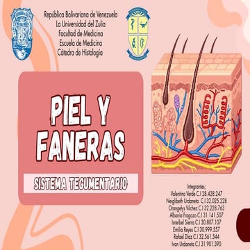 Comprehensive Overview of Skin and Its Structures in Histology | PDF