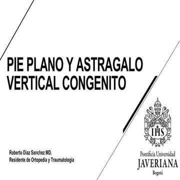 Pie Plano y Astragalo Vertical | PPTX