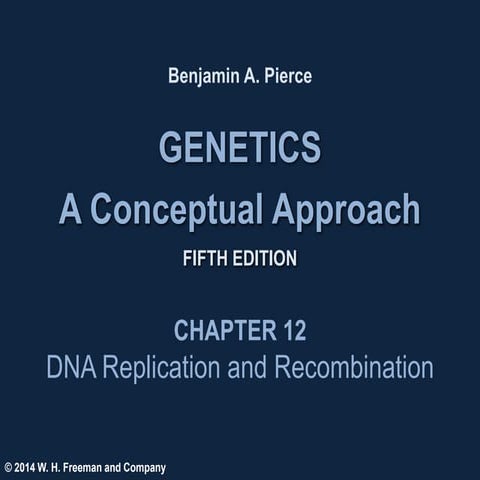 Pierce5e_ch12_replication dna replication | PPT