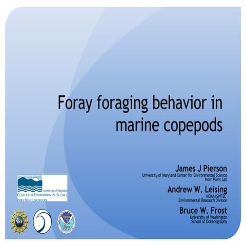 Forays and Foraging in Marine Zooplankton | PPT