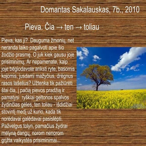 Pieva. kursai.tinklas.lt