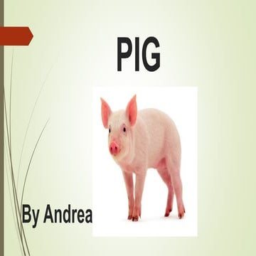 Pig | PPTX