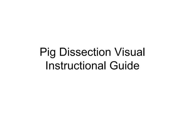 Practical 1 pig heart dissection | PPTX