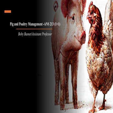 Pig and Poultry Management || Assistant Prof. Boby Basnet | PDF