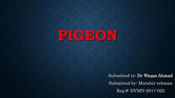 Avian circulatory system | PPTX | Heart and Cardiovascular Diseases ...