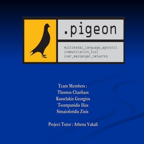 .Pigeon Project | PPT