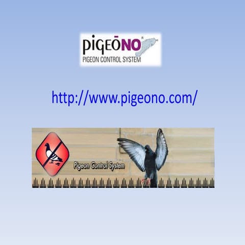 Pigeon control products | PPTX