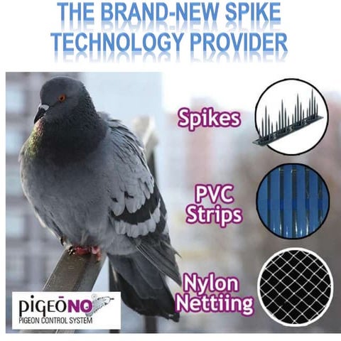 Pigeono bird-control-product | PPT