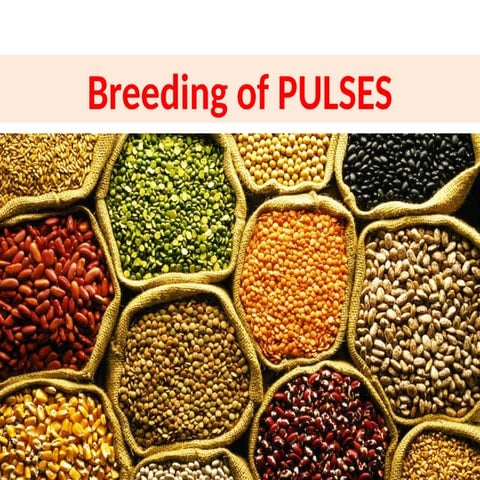 Pigeon pea breeding, different types of breeding | PPTX