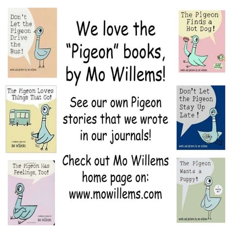 Pigeon Stories | PPT