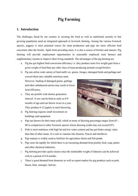 Poultry project report | PDF