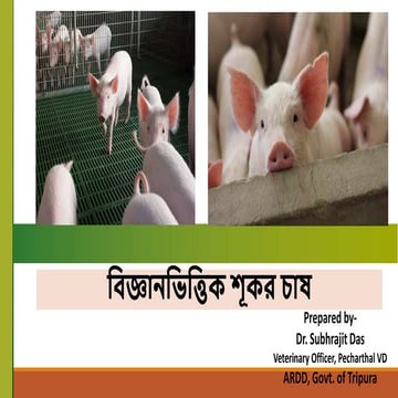 Scientific Pig farming Bengali Manual for Farmer | PDF