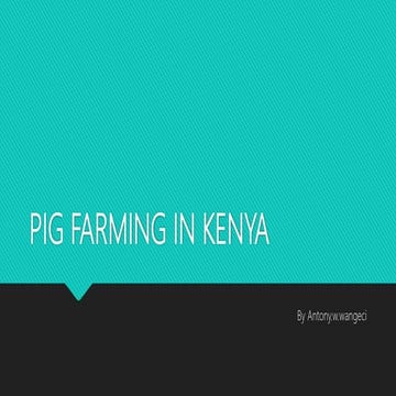 Pig farming in kenya | PPTX