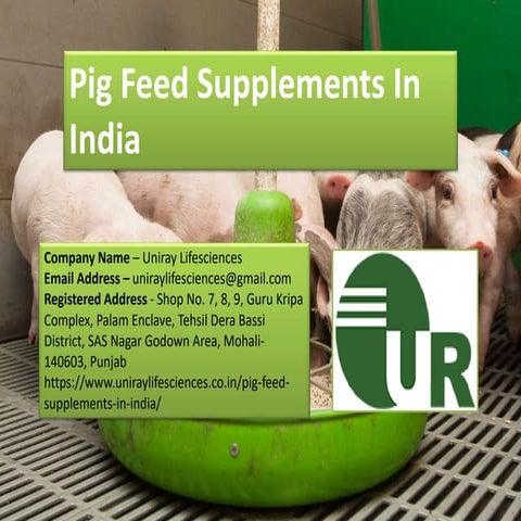 Pig Feed Supplements In India | PPT