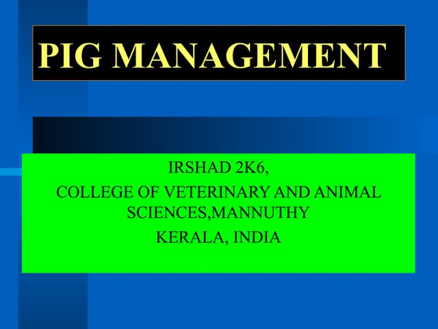 Breeding Management Swine Pptx