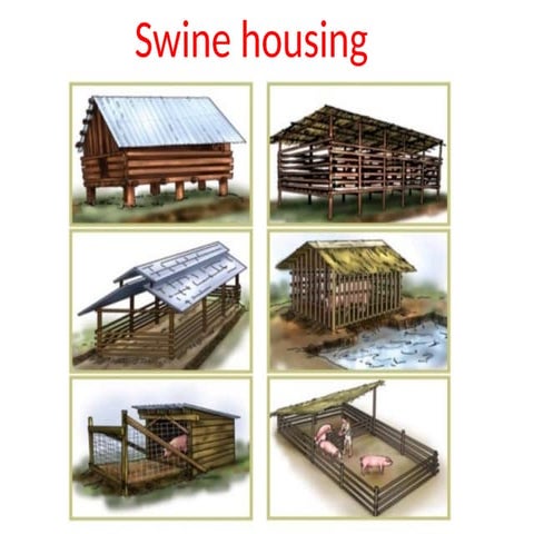 pig housing ranchi veterinary college.pptx