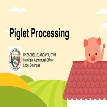 Piglet Processing.pptx