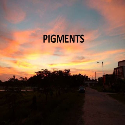 Human colors. color of normal and pathologic tissue | PPTX