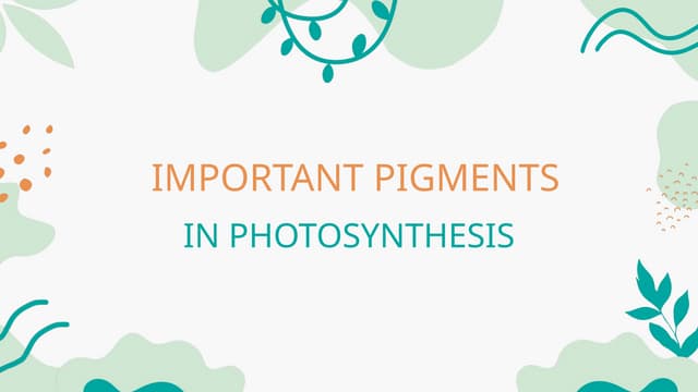 Role of Pigments in Photosynthesis | PPT