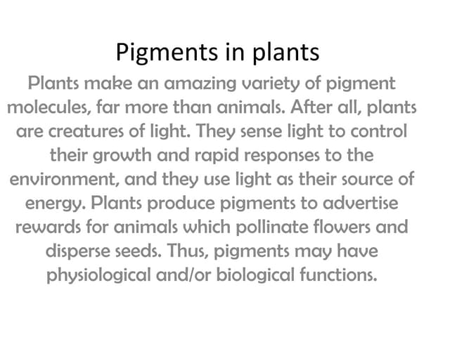 Importance of Chlorophyll and other pigments in photosynthesis.pptx ...