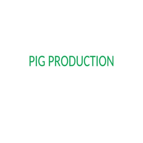 PIGGERY ALL DETAIL | PPTX
