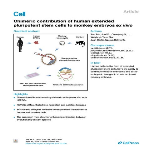 Human-Animal Chimera: Revolutionizing Medicine While Confronting ...