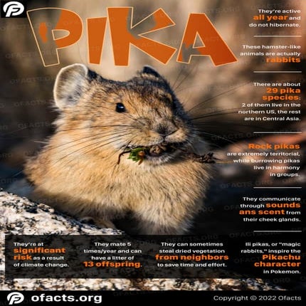 Pika facts | PDF