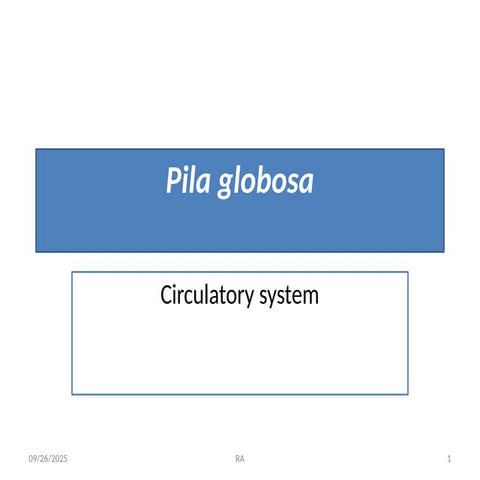 apple snail Pila globosa cirulation.pptx