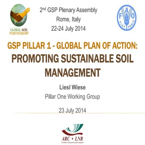 GSP PILLAR 1 - GLOBAL PLAN OF ACTION: PROMOTING SUSTAINABLE SOIL ...