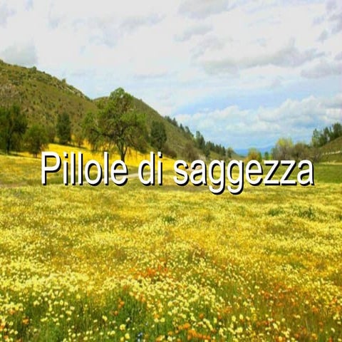 Pillole di saggezza | PPS