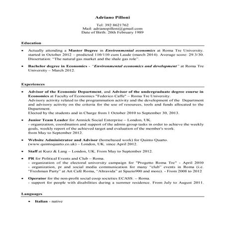 Adriano Pilloni CV Eng | PDF