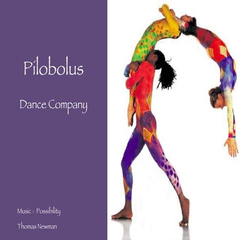 Pilobolus Dance Theatre Company | PPS