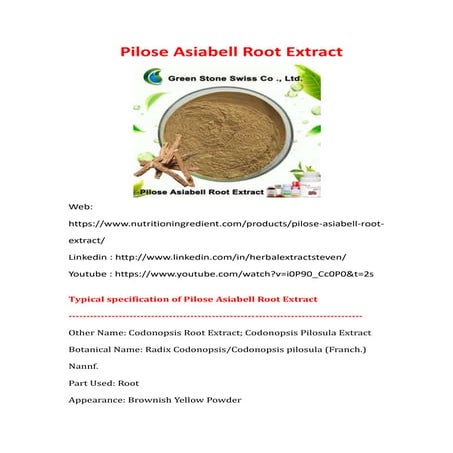 Pilose Asiabell Root Extract Benefits,Buy,Price-Green Stone | DOCX