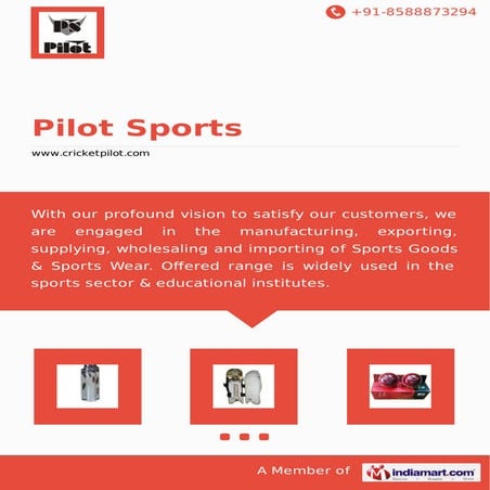 Pilot sports | PDF