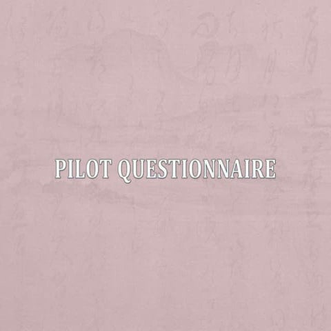 Pilot questionnaire | PPTX