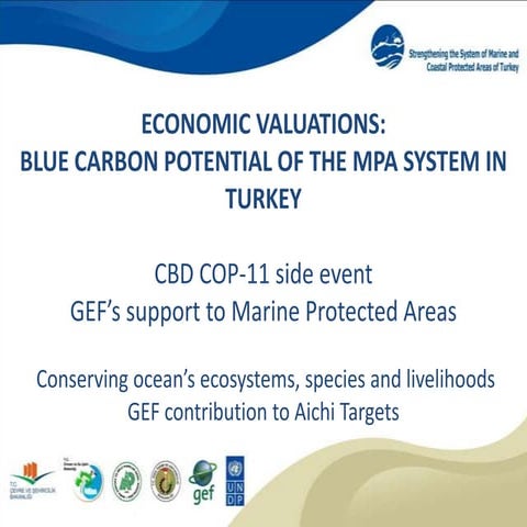 Economic Valuations : Blue Carbon Potential of the MPA system in Turkey ...