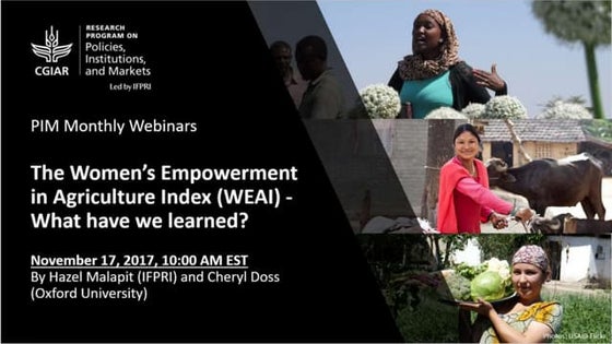 Measuring empowerment in the abaca, coconut, seaweed and swine value ...