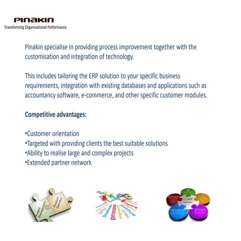 Pinakin Consulting | PDF