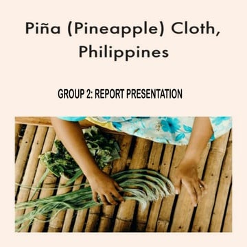 PINA (PINEAPPLE) CLOTH, PHILIPPINES - Indigenous Creative Craft (G2 ...