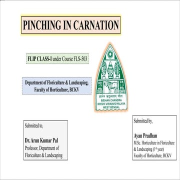 Pinching in Carnation by Ayan Pradhan.pptx
