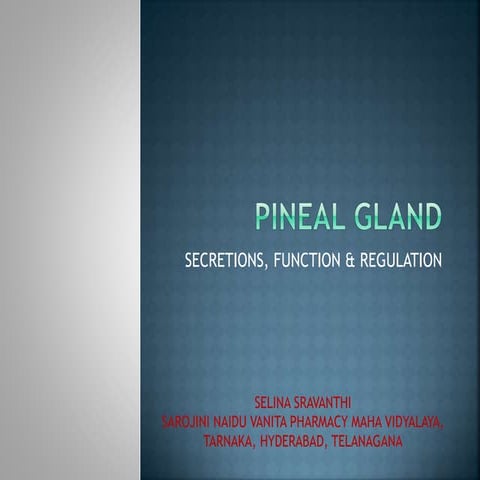 Pineal gland - Secretion, Function and Regulation | PPTX