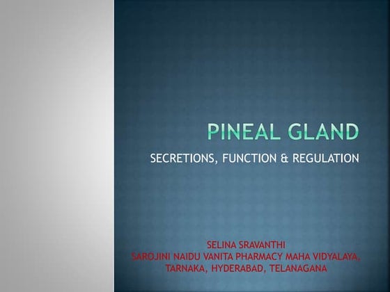 Pancreas - Secretion, Function and Regulation | PPTX | Endocrine and ...