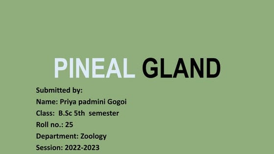Pineal gland (Endocrinology) | PPT