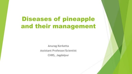 Introduction importance scope and objectives of plant pathology | PPT