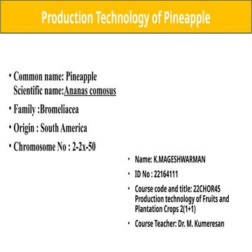 Production Technology of Pineapple....... | PPTX