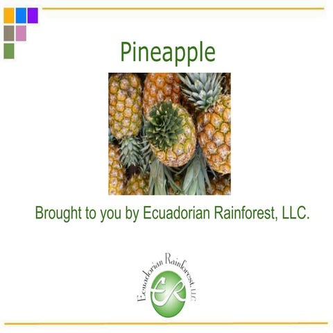 Pineapple | PPTX