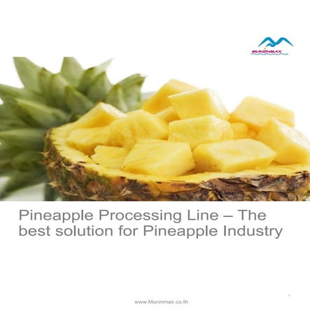 Pineapple processing line - Equipment for Pineapple Plant | PDF