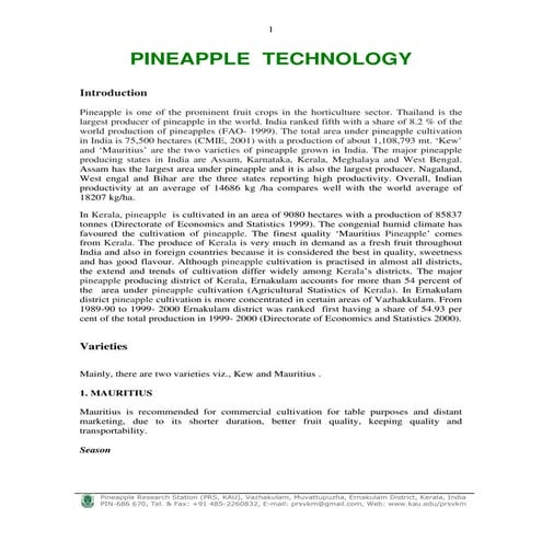 Pineapple | PPTX